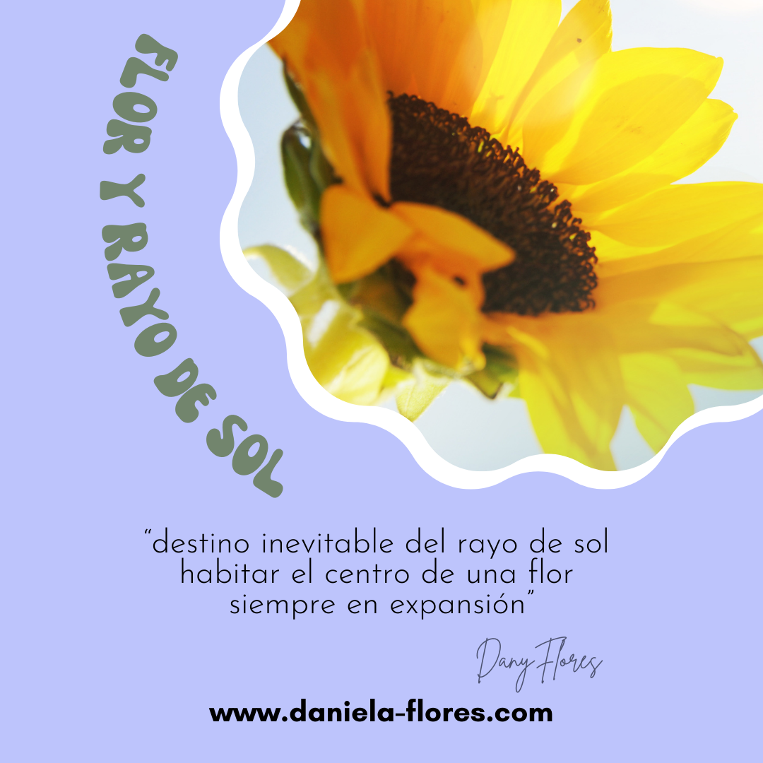 Flor y Rayo de Sol – Daniela Flores